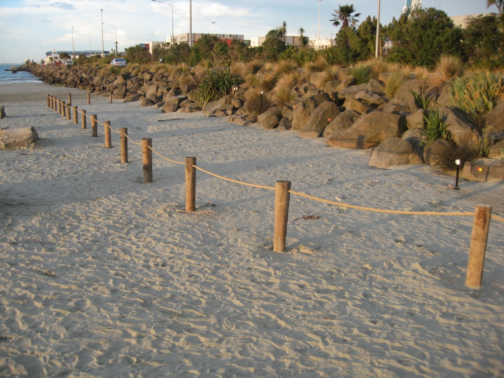 Gallery | Timaru Penguins