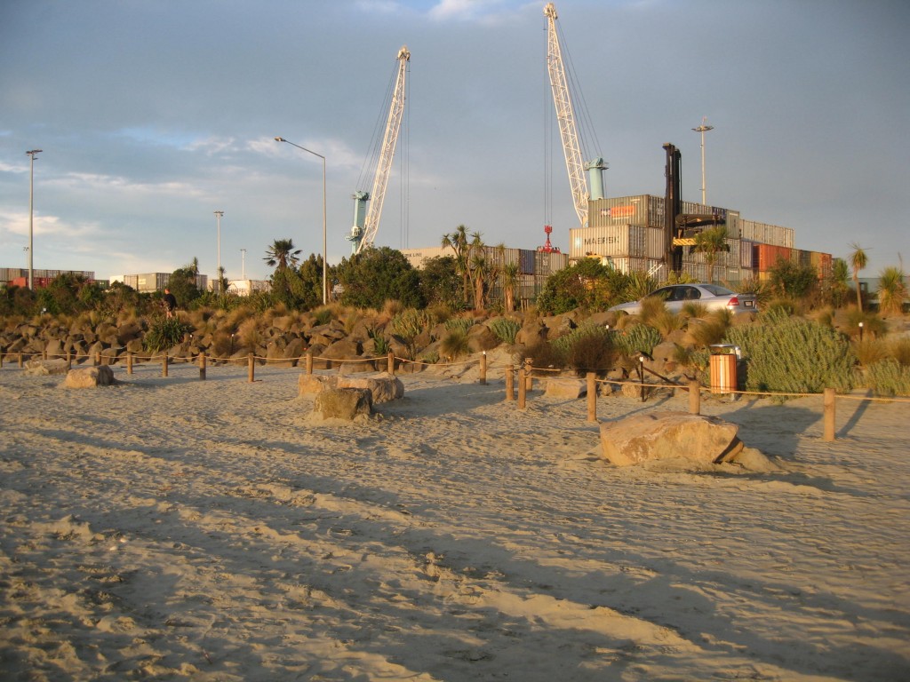 Gallery | Timaru Penguins